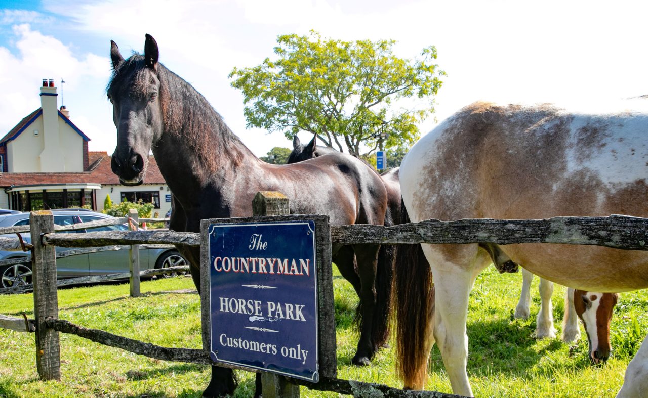 Home - The Countryman Inn